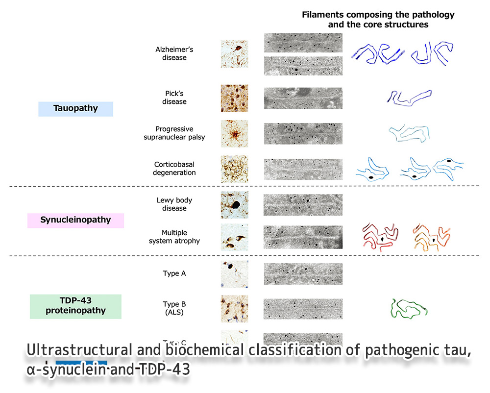 Tokyo Metropolitan Institute of Medical Science